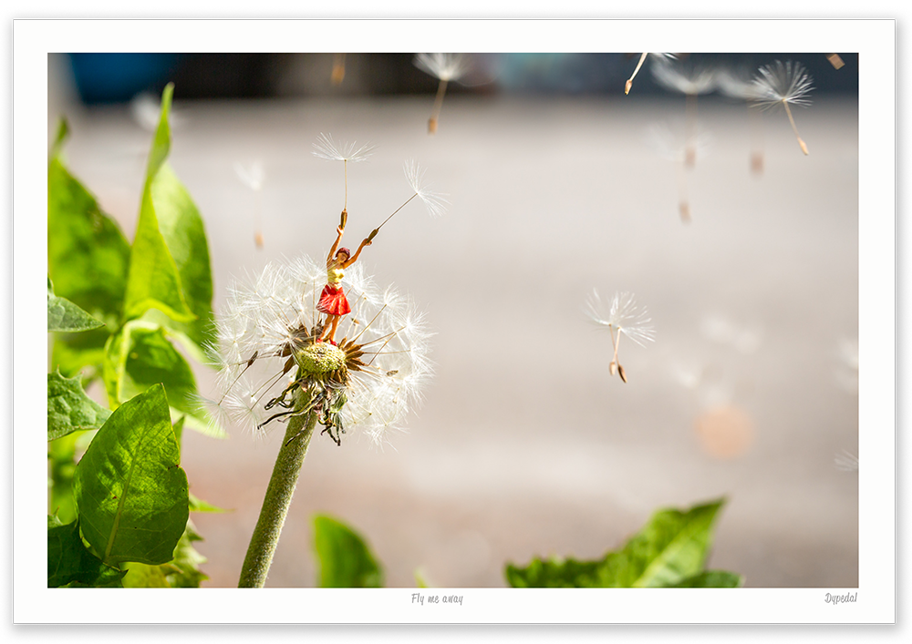 Fly me away 30x21 – Tiny People by Dypedal